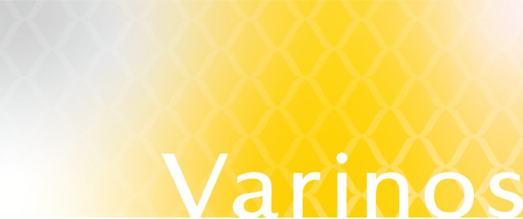 Varinosってどんな会社？ | Varinos（バリノス）