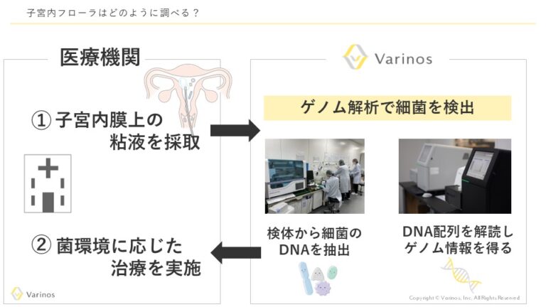 Varinosってどんな会社？ | Varinos（バリノス）