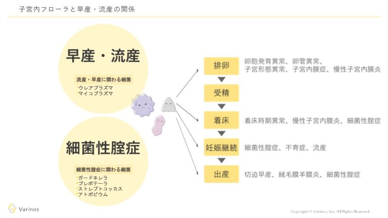 Varinosってどんな会社？ | Varinos（バリノス）